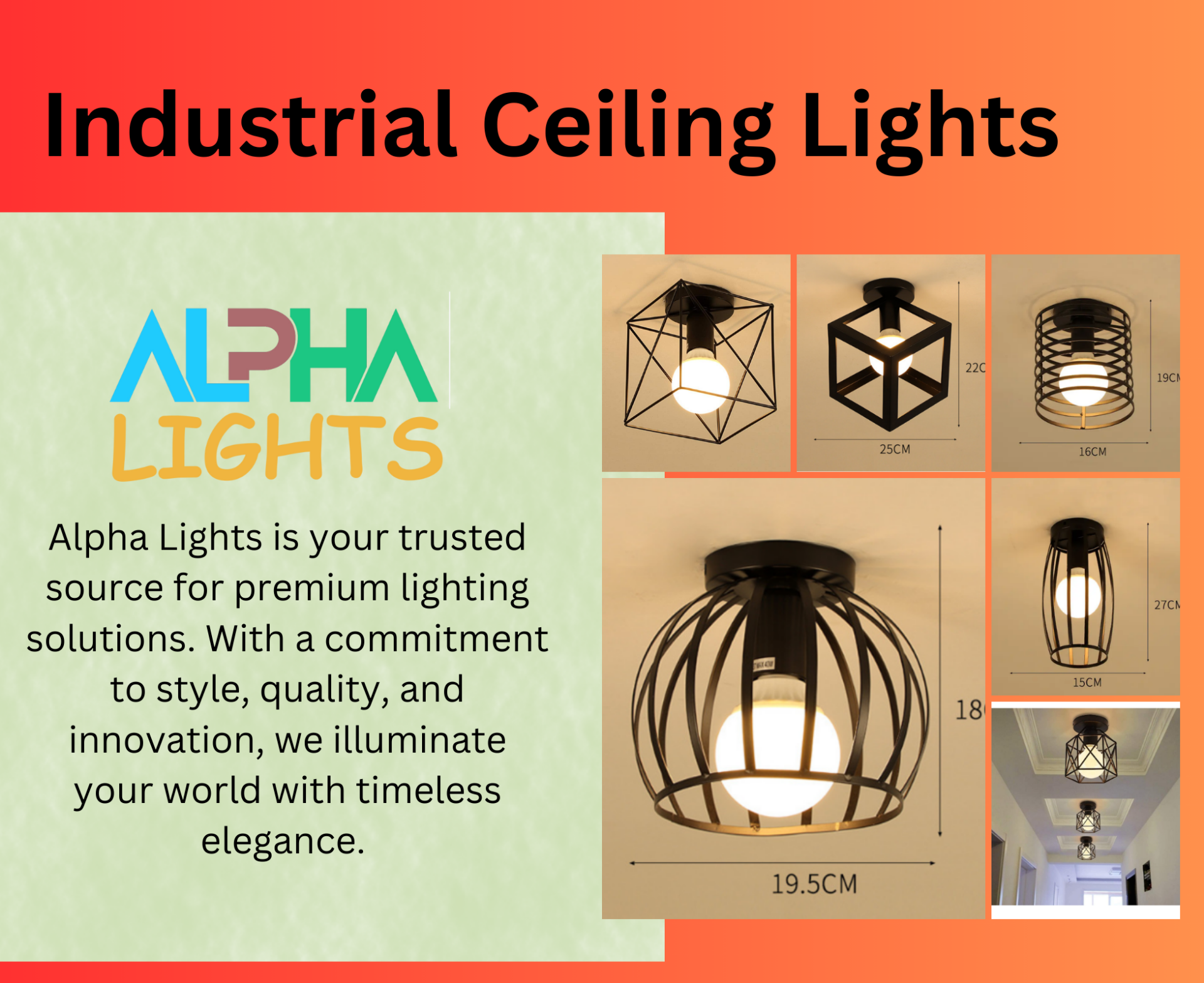 Black Cage Ceiling Light, Hallway Ceiling Lights Cage Ceiling Lamp