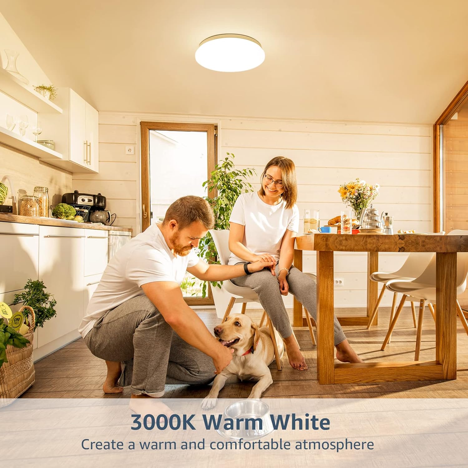 LED Ceiling Light - Warm White Flush Ceiling Lighting