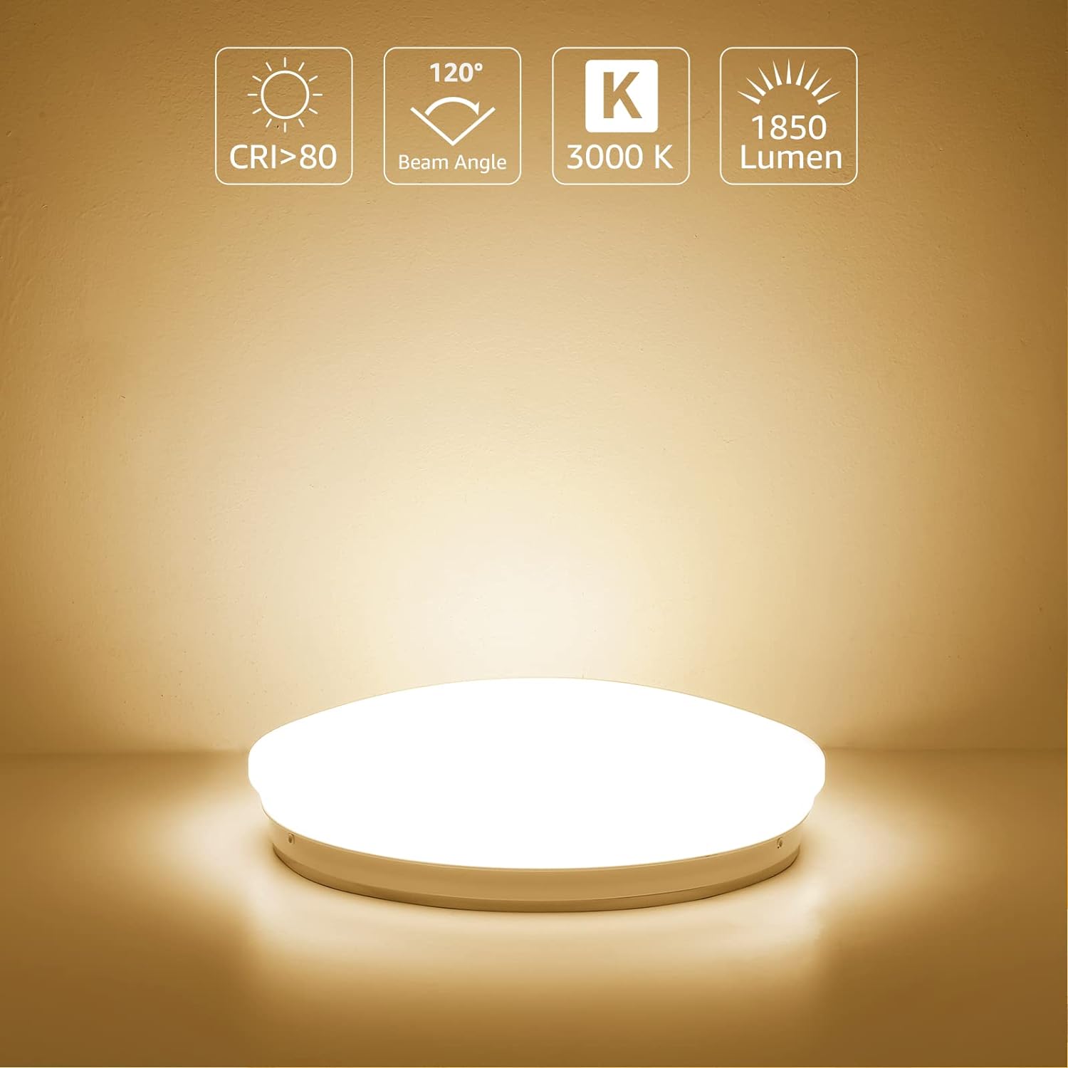 LED Ceiling Light - Warm White Flush Ceiling Lighting