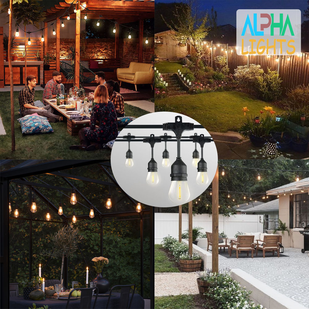 Festoon Lighting Mains Powered For Garden